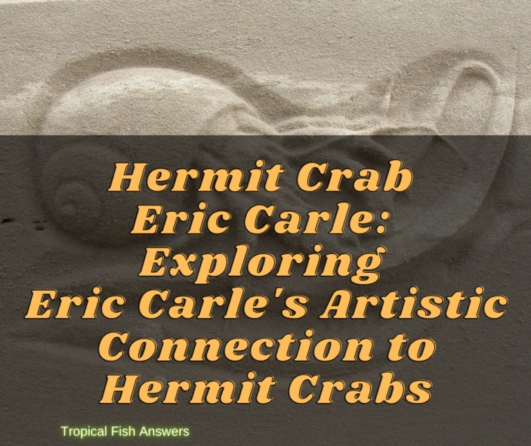 Hermit Crab Eric Carle - TROPICAL FISH ANSWERS